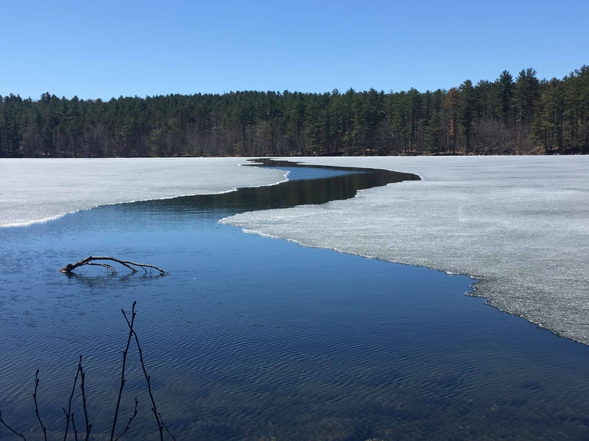 Educational Materials - Lake Stewards of Maine